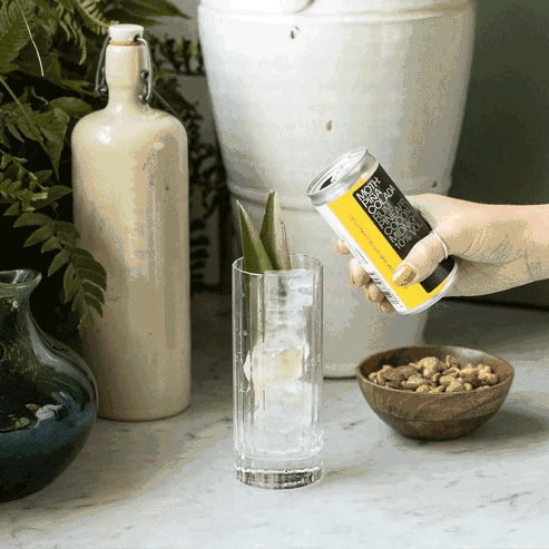 The Piña Colada | The Most Delicious and Tropical Cocktail | MOTH